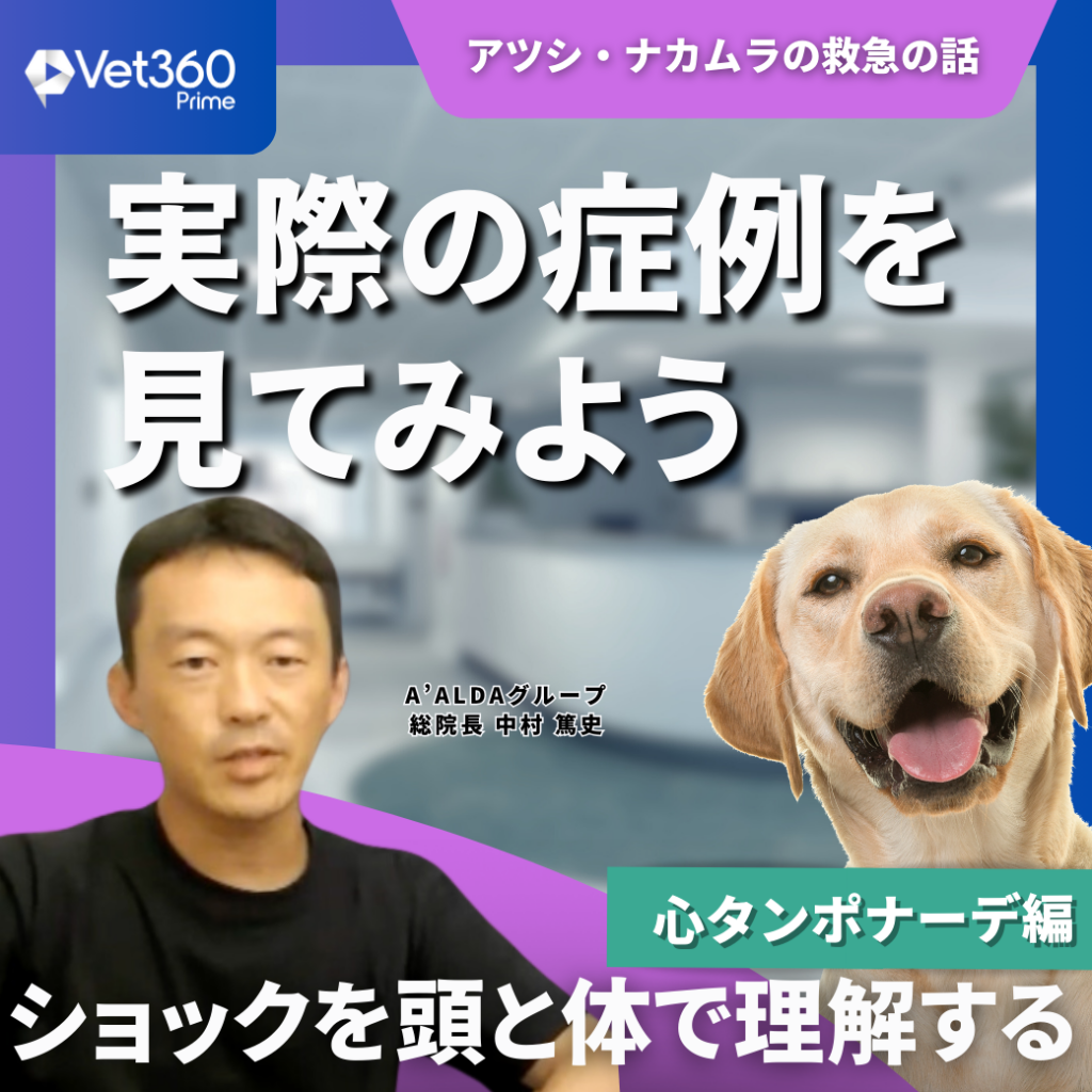 ログイン - Vet360 Prime