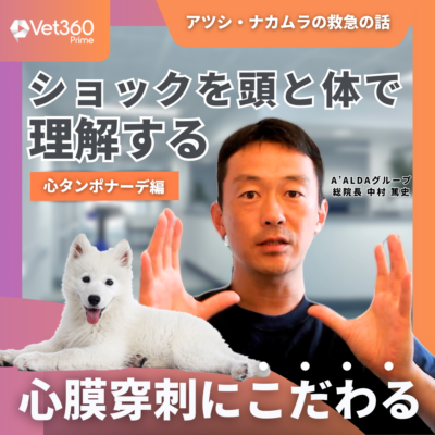 ログイン - Vet360 Prime