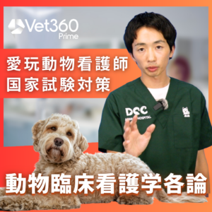 ログイン - Vet360 Prime