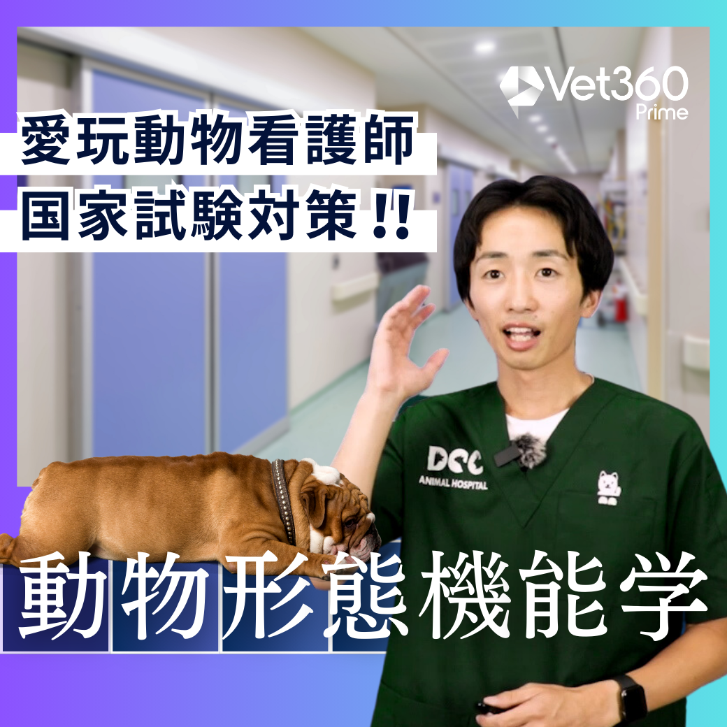 会員登録 - Vet360 Prime