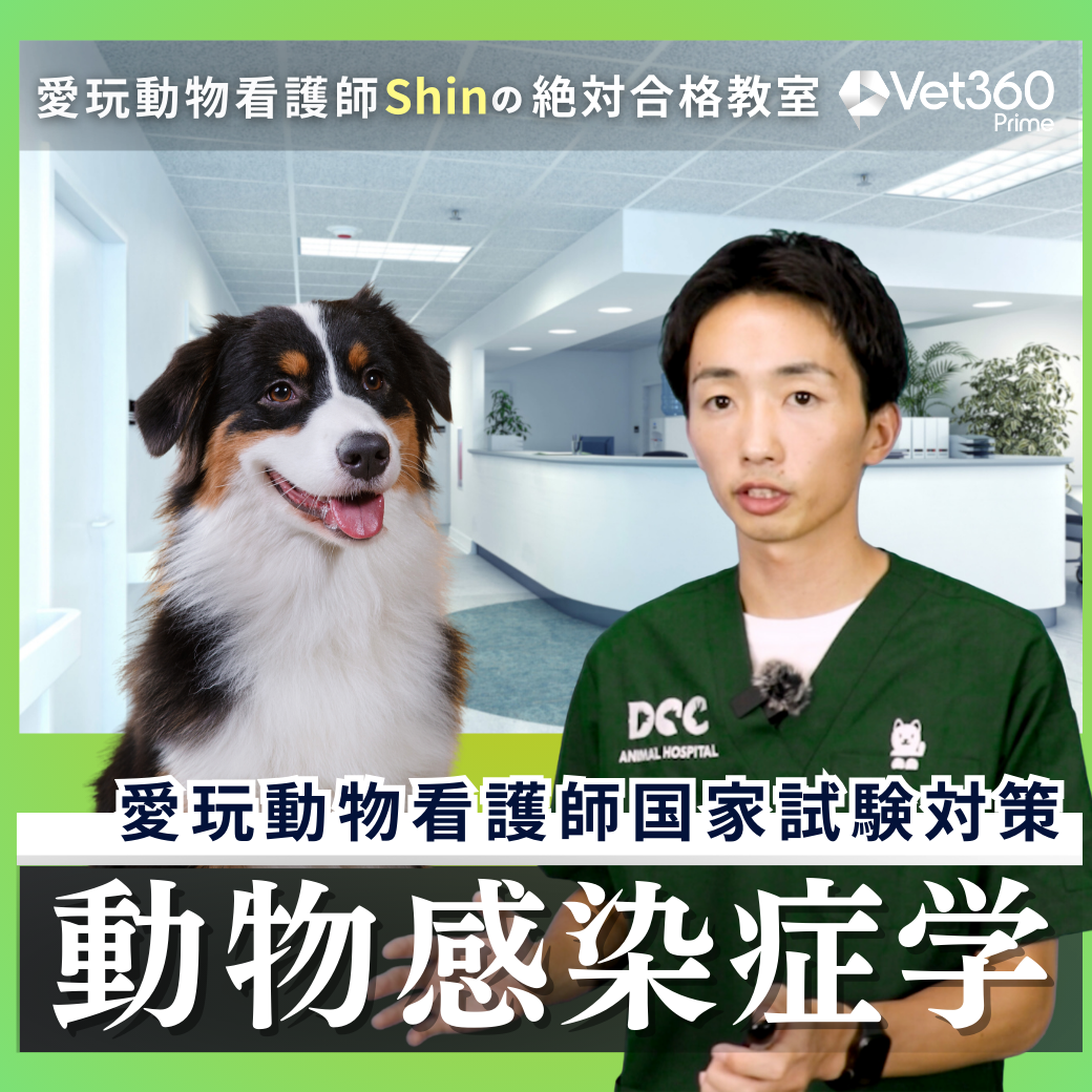 会員登録 - Vet360 Prime