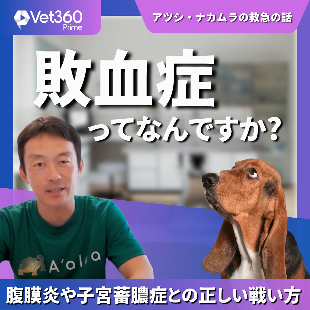 会員登録 - Vet360 Prime