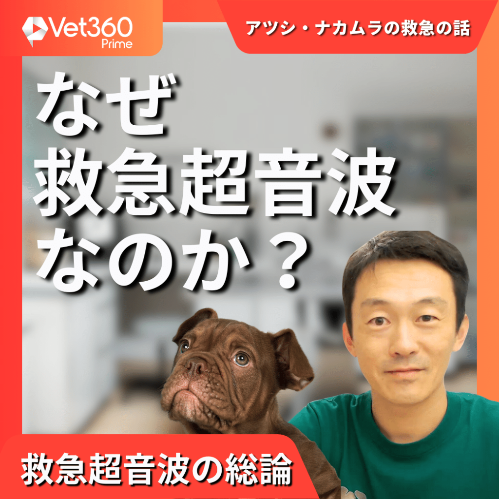 ログイン - Vet360 Prime