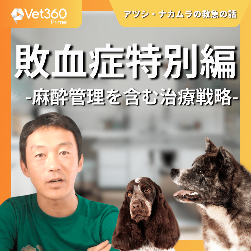 Vet360 Prime - 最新の獣医療の知識が得られる獣医学メディア 獣医療臨床技術の知識が得られる獣医学メディア