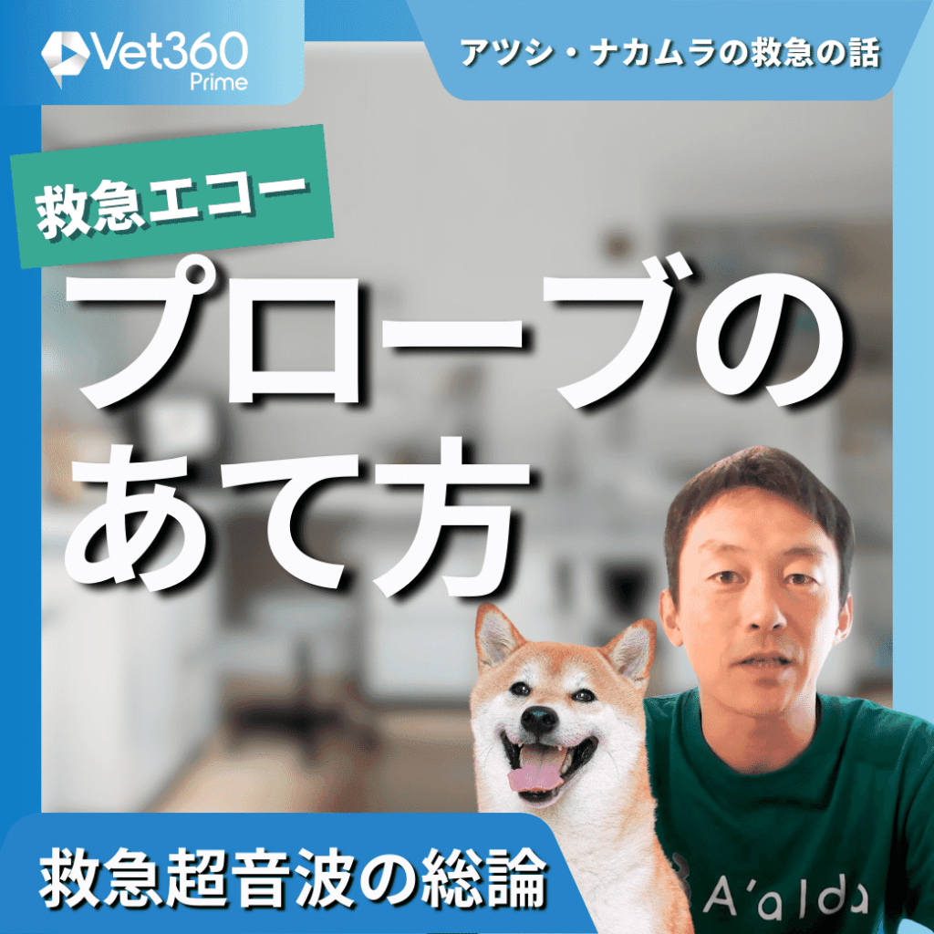 ログイン - Vet360 Prime