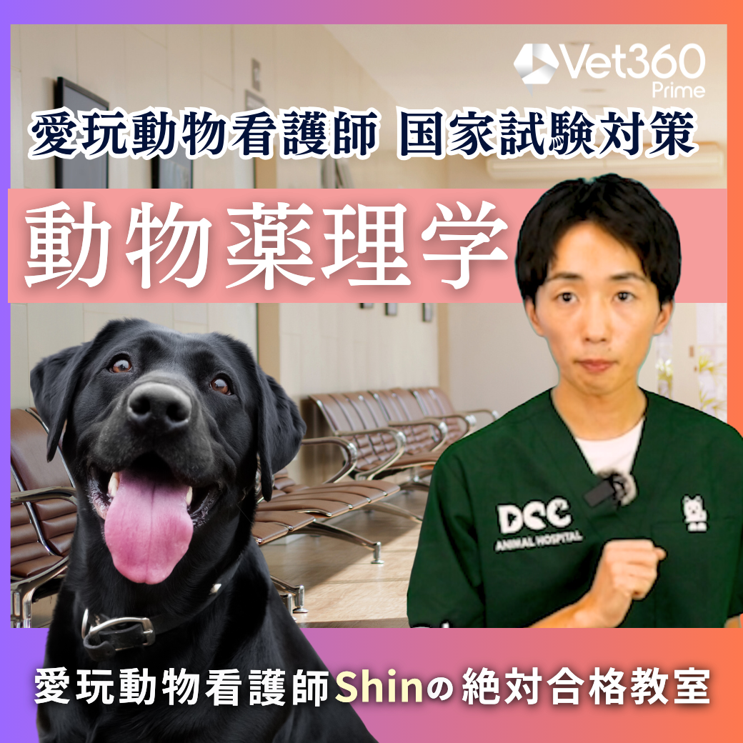 ログイン - Vet360 Prime