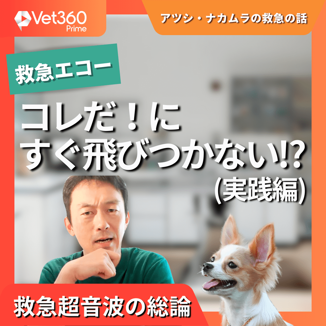 ログイン - Vet360 Prime