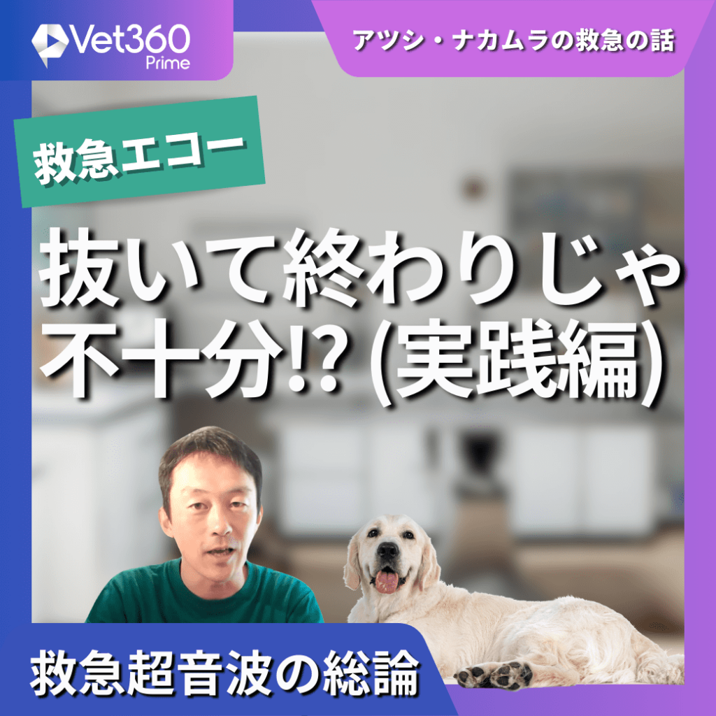 ログイン - Vet360 Prime