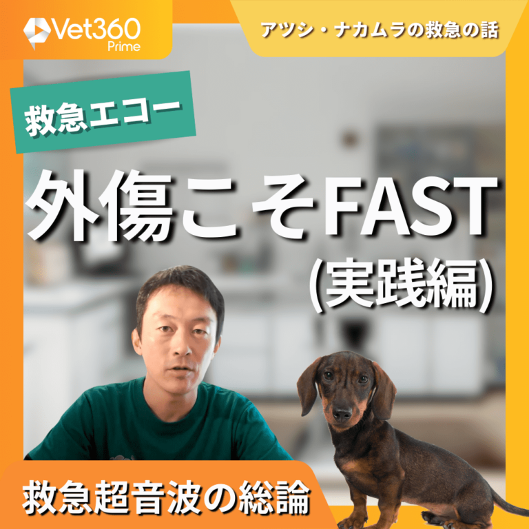 ログイン - Vet360 Prime