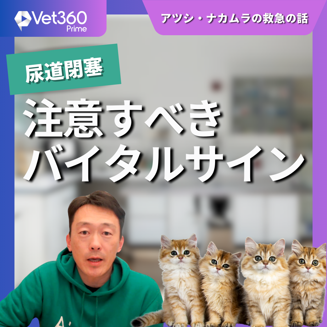 動画一覧 - Vet360 Prime