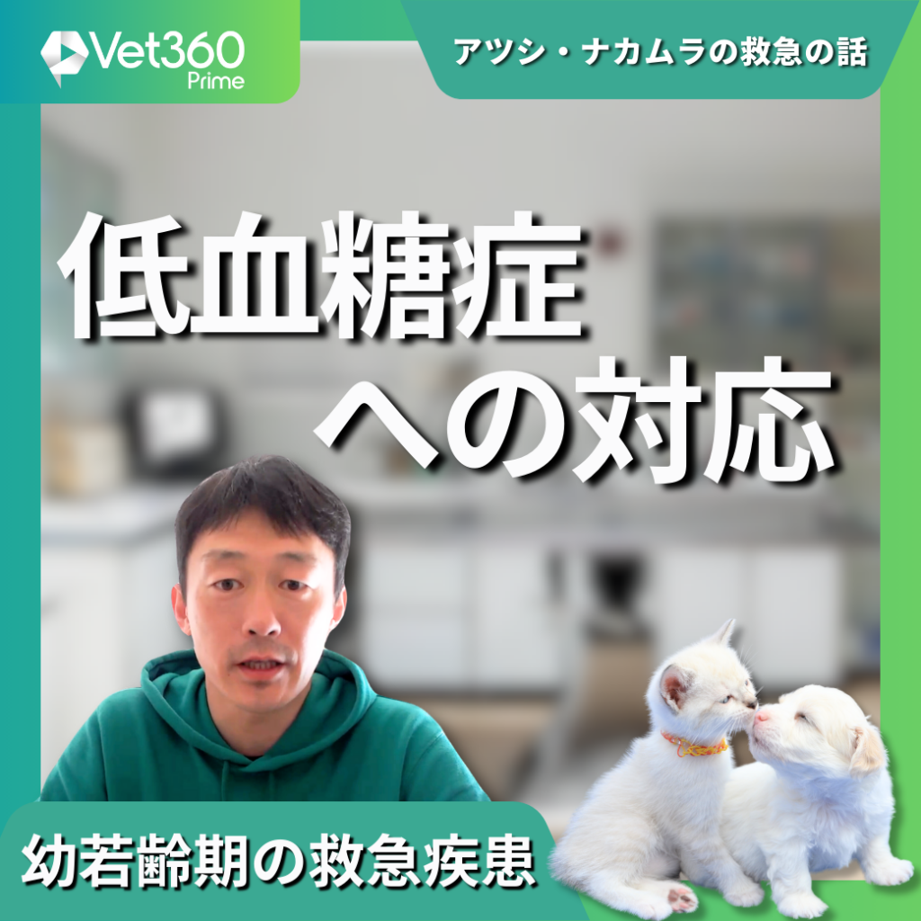 Vet360 Prime - 最新の獣医療の知識が得られる獣医学メディア 獣医療臨床技術の知識が得られる獣医学メディア