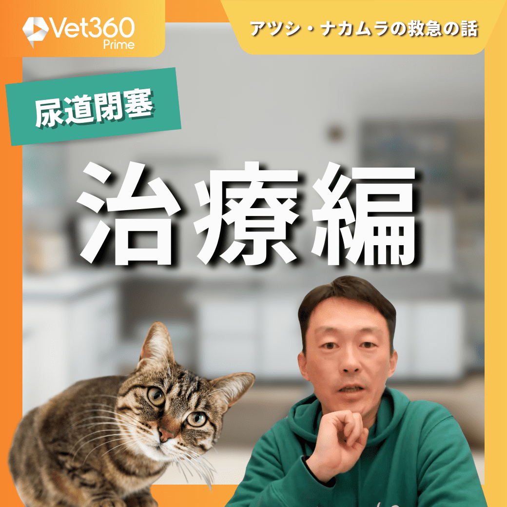 Vet360 Prime - 最新の獣医療の知識が得られる獣医学メディア 獣医療臨床技術の知識が得られる獣医学メディア